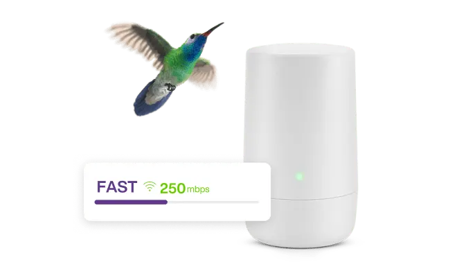 Home Internet - Get Unlimited High Speed Internet | TELUS