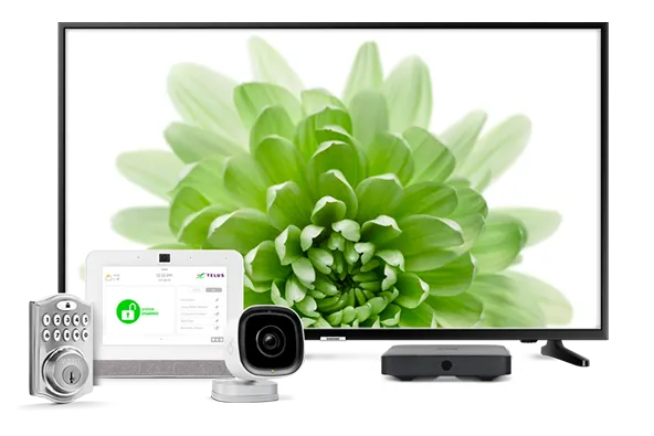 Live TV Plus 5 Specialty Channels | TELUS