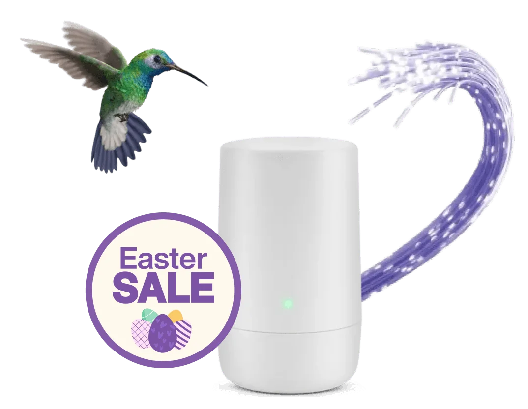 Phones, Internet and TV on the most-awarded network | TELUS