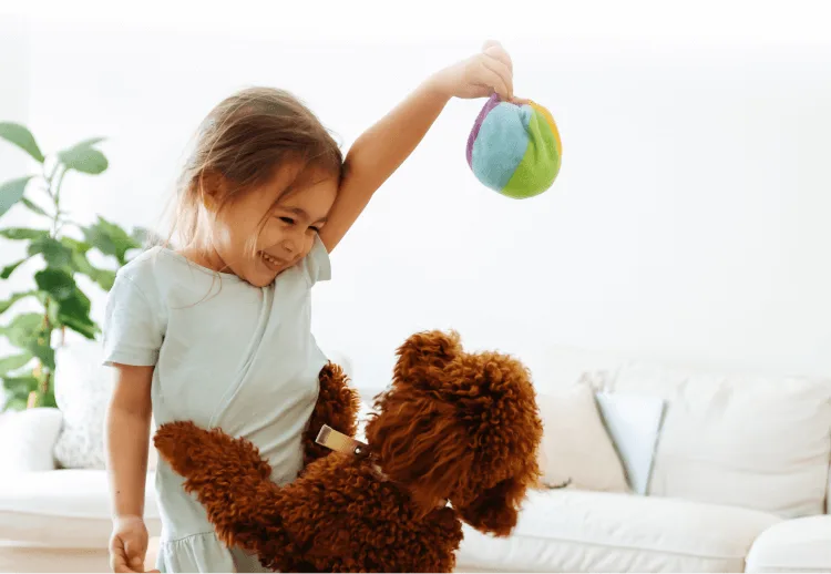 Home Security Winnipeg - Home Security Systems | TELUS