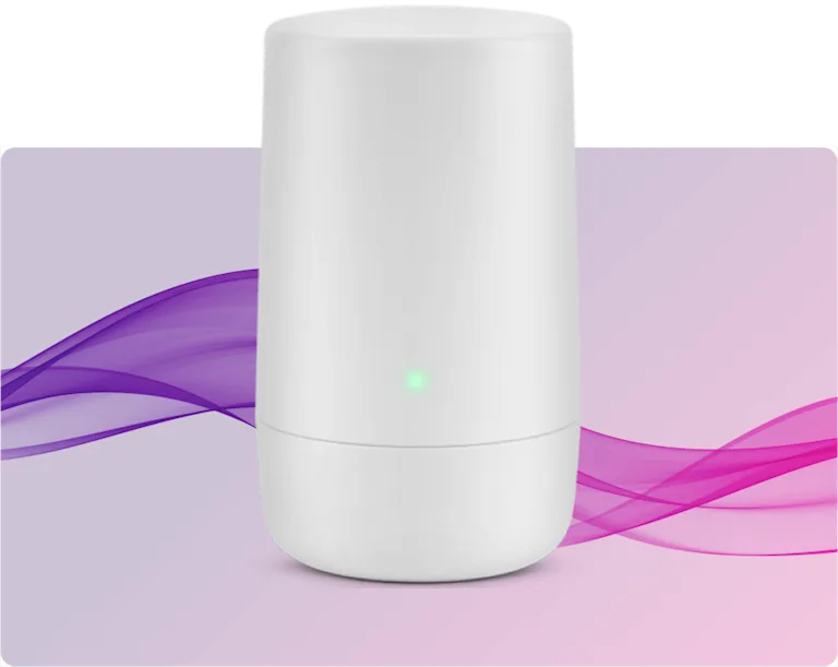 Fibre Internet - High Speed Fibre Optic Internet | TELUS