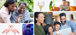 Newcomers bring your phone plans | TELUS