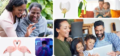 Newcomers bring your phone plans | TELUS