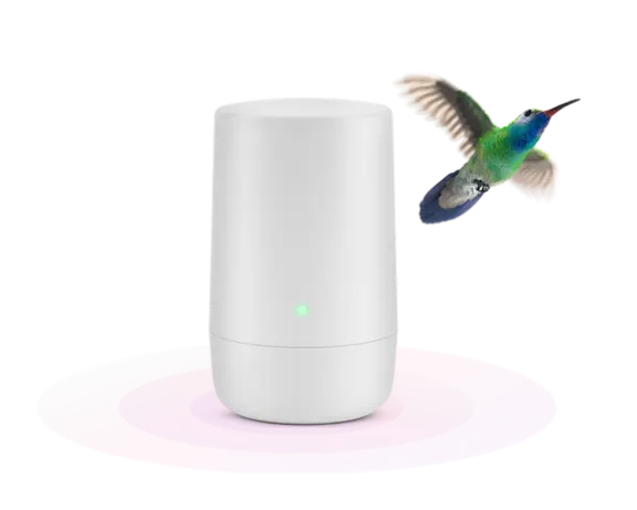 Deals & Bundles on Phones, Plans & More | TELUS