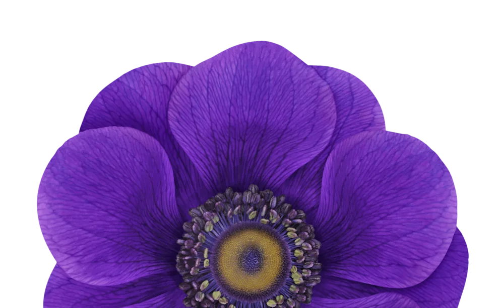 TELUS Executive Team, Company overview - About | TELUS