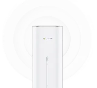 Business Internet Plans | TELUS Business
