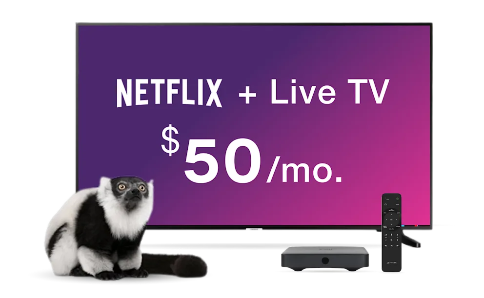Enjoy Live TV With Netflix Included | TELUS