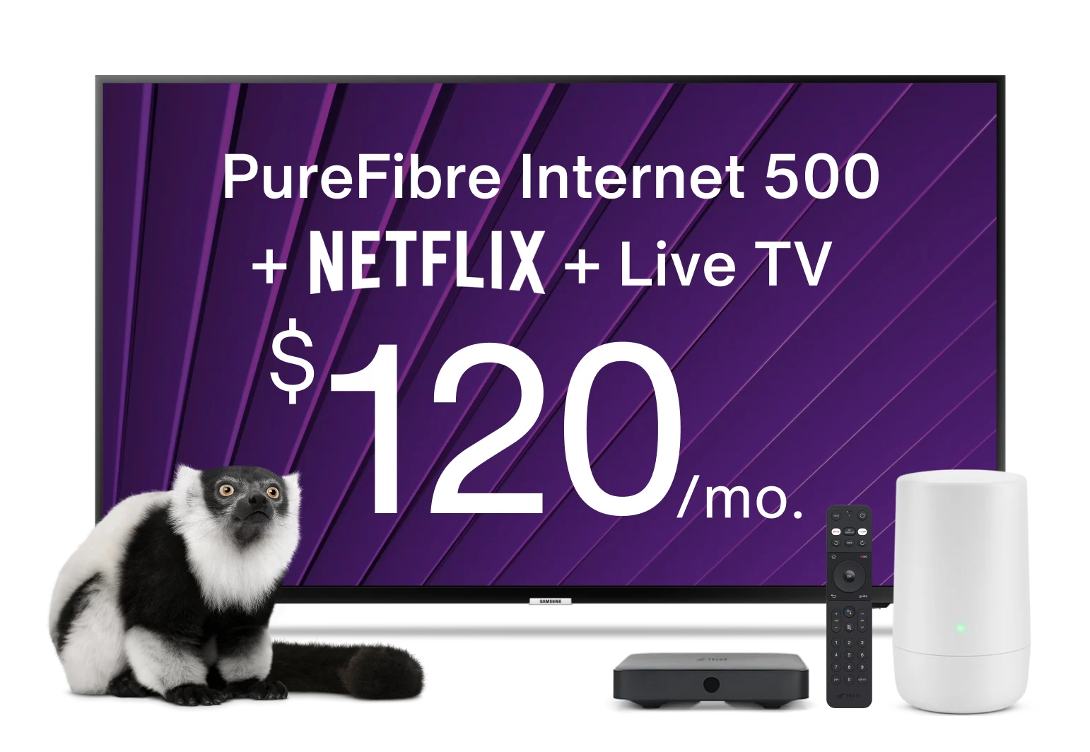 Live TV And Netflix With Internet 500 | TELUS