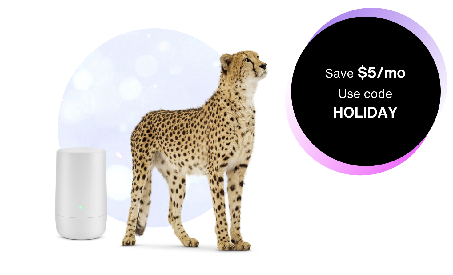 Get PureFibre Internet 250 and save up to $35/mo. | TELUS