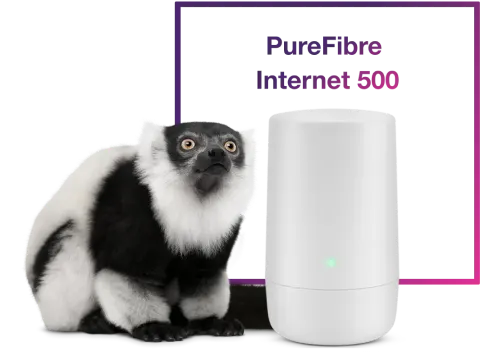 Save on PureFibre Gigabit Internet | TELUS