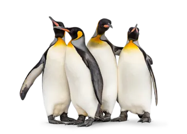 Add Home Services to Mobility and Save | TELUS