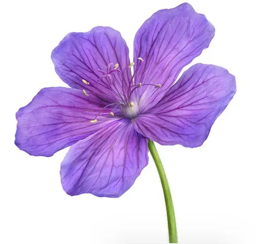 Supplier Code of Conduct & Registration - Procurement | TELUS