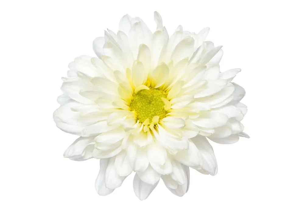 Oacis Clinical Information System | TELUS Health