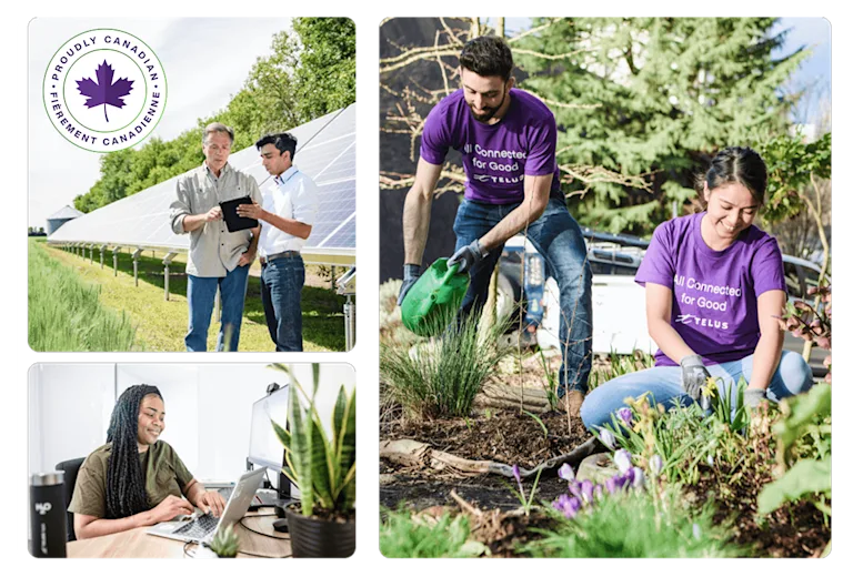 Phones, plans and more on Canada's 100% homegrown service provider | TELUS