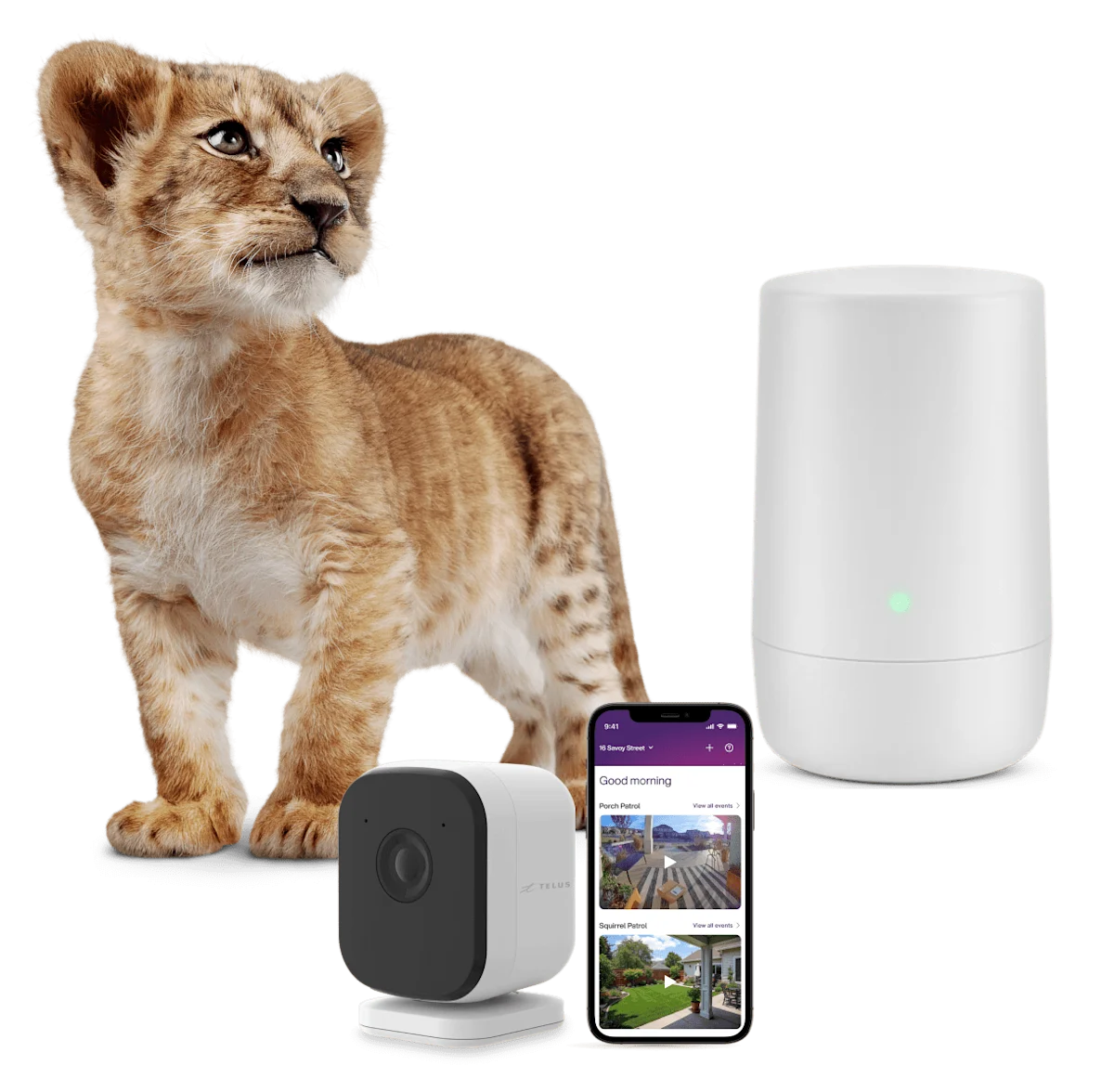 Bundle home security with internet | TELUS