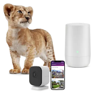 Bundle home security with internet | TELUS