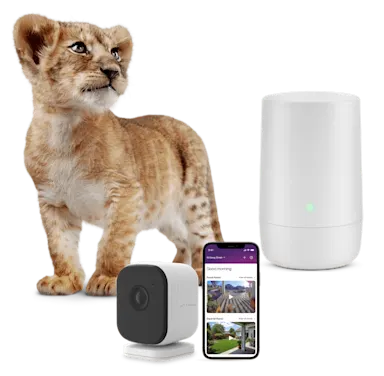 Bundle home security with internet | TELUS