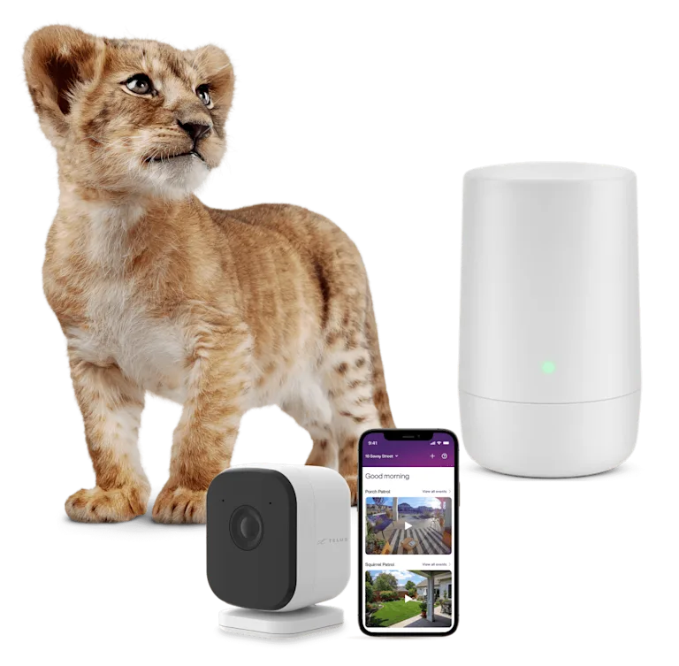 Bundle home security with internet | TELUS