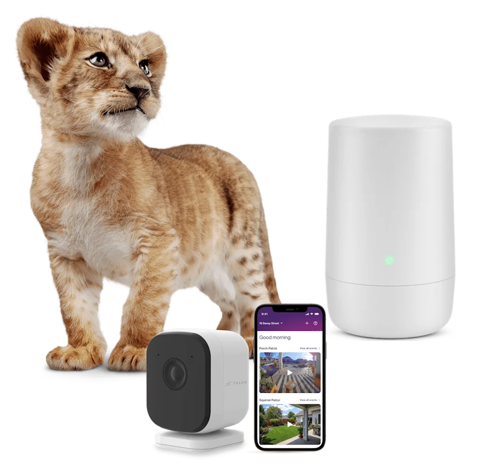 Bundle home security with internet | TELUS
