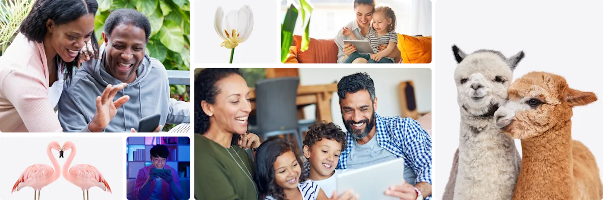 Newcomers bring your phone plans | TELUS