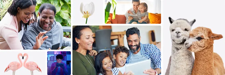 Newcomers bring your phone plans | TELUS