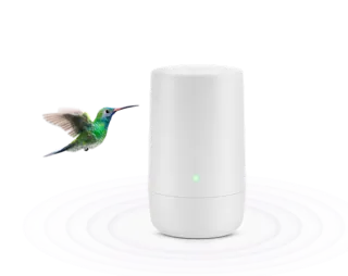 Home Internet - Get Unlimited High Speed Internet | TELUS