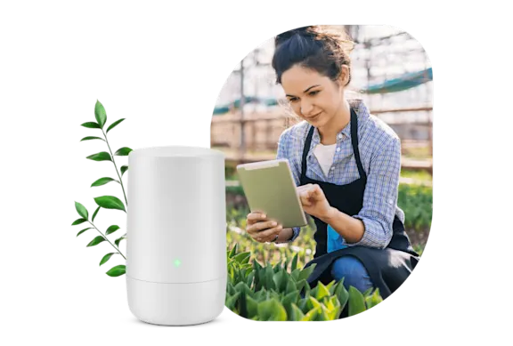 About TELUS PureFibre 5 Gig | TELUS