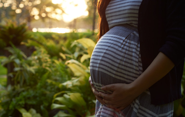 The Surest guide to maternity