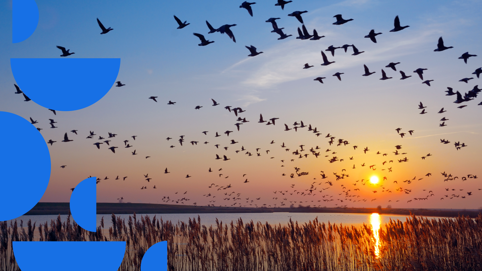 What is Astro? A JS framework tour | Contentful