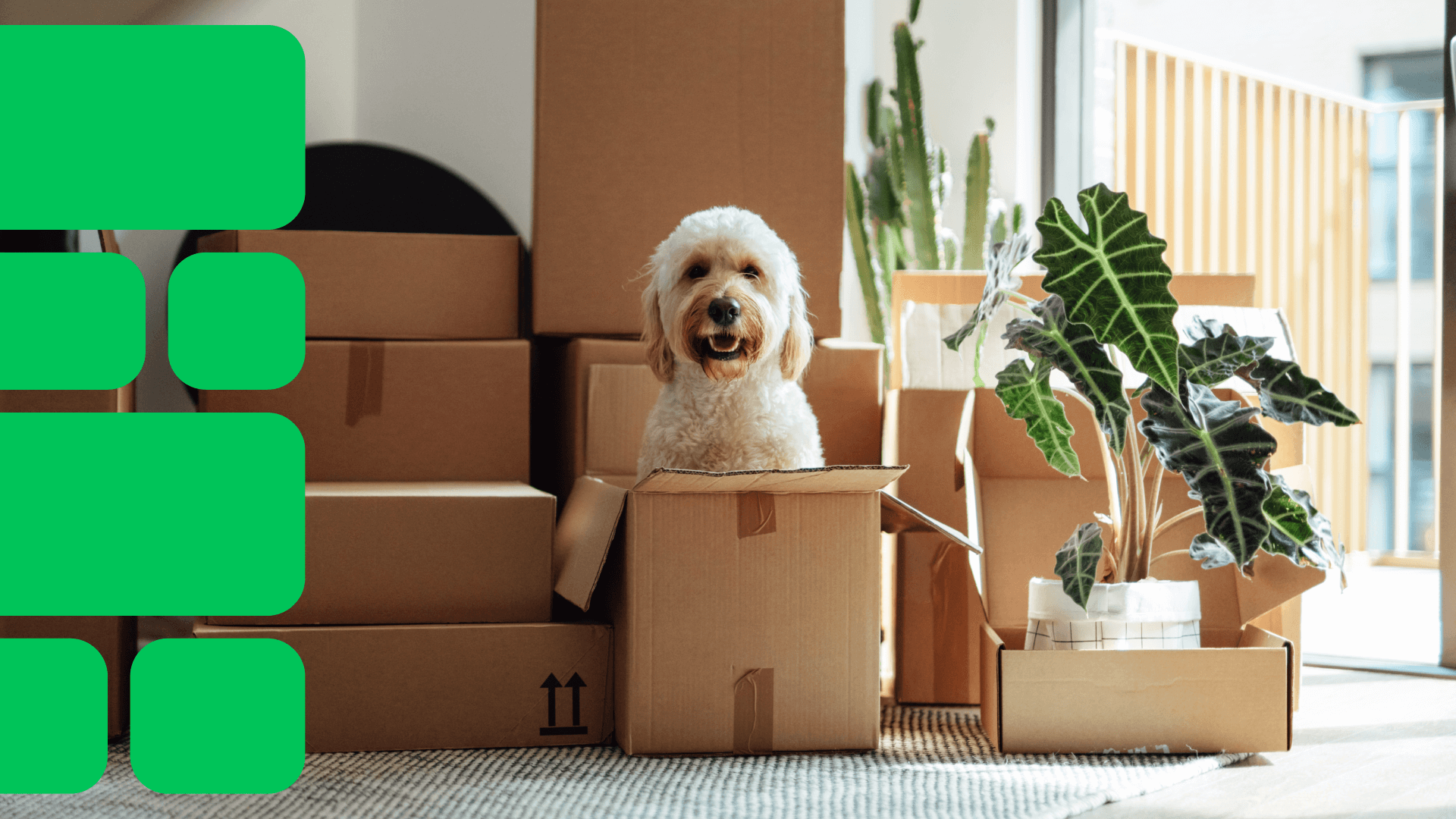 Planning your content migration: Strategies for success | Contentful