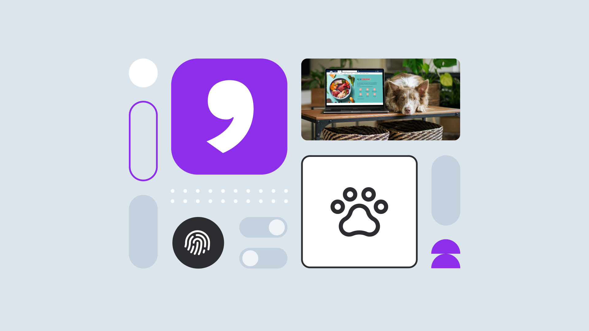What becoming a Contentful Certified Professional entails | Contentful