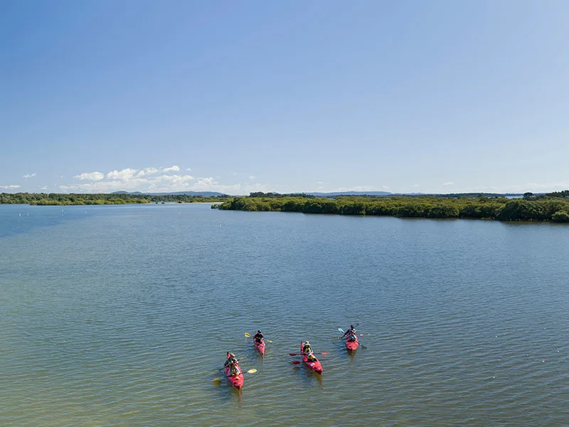 Things to do in Yamba - NRMA Blue Dolphin Yamba Holiday Resort