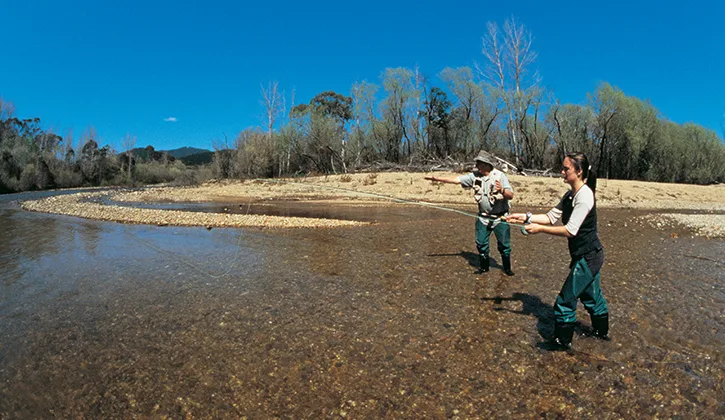 Gallery - NRMA Bright Holiday Park