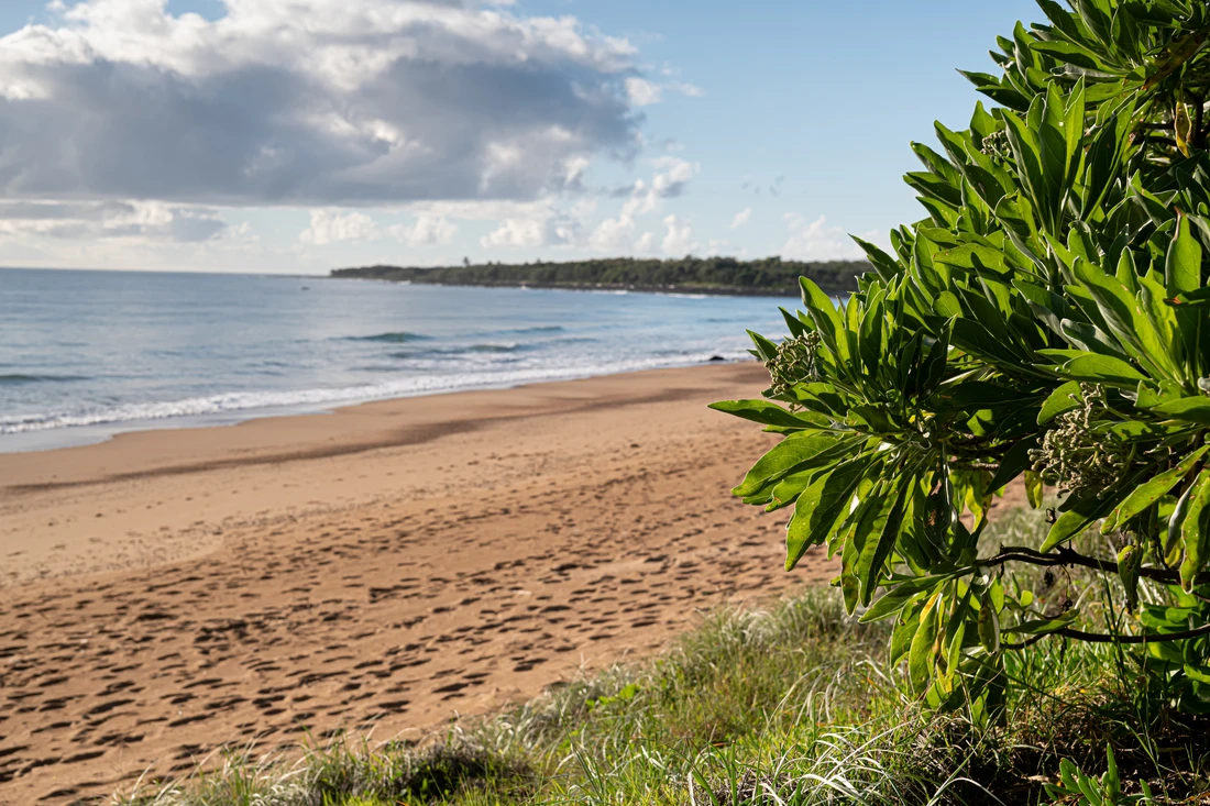 Turtle Sands Gallery