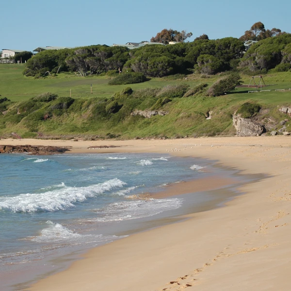 Merimbula fishing guide