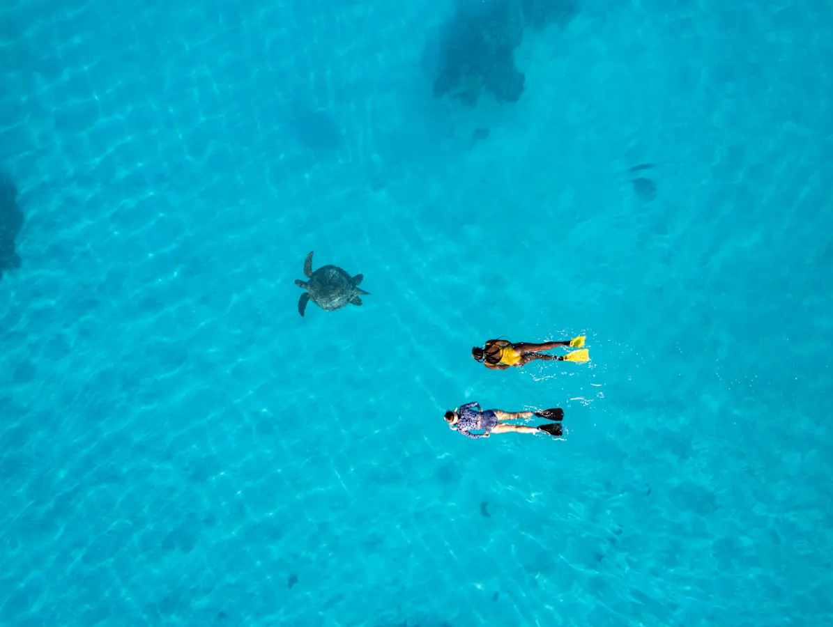 Turtle Sands Gallery