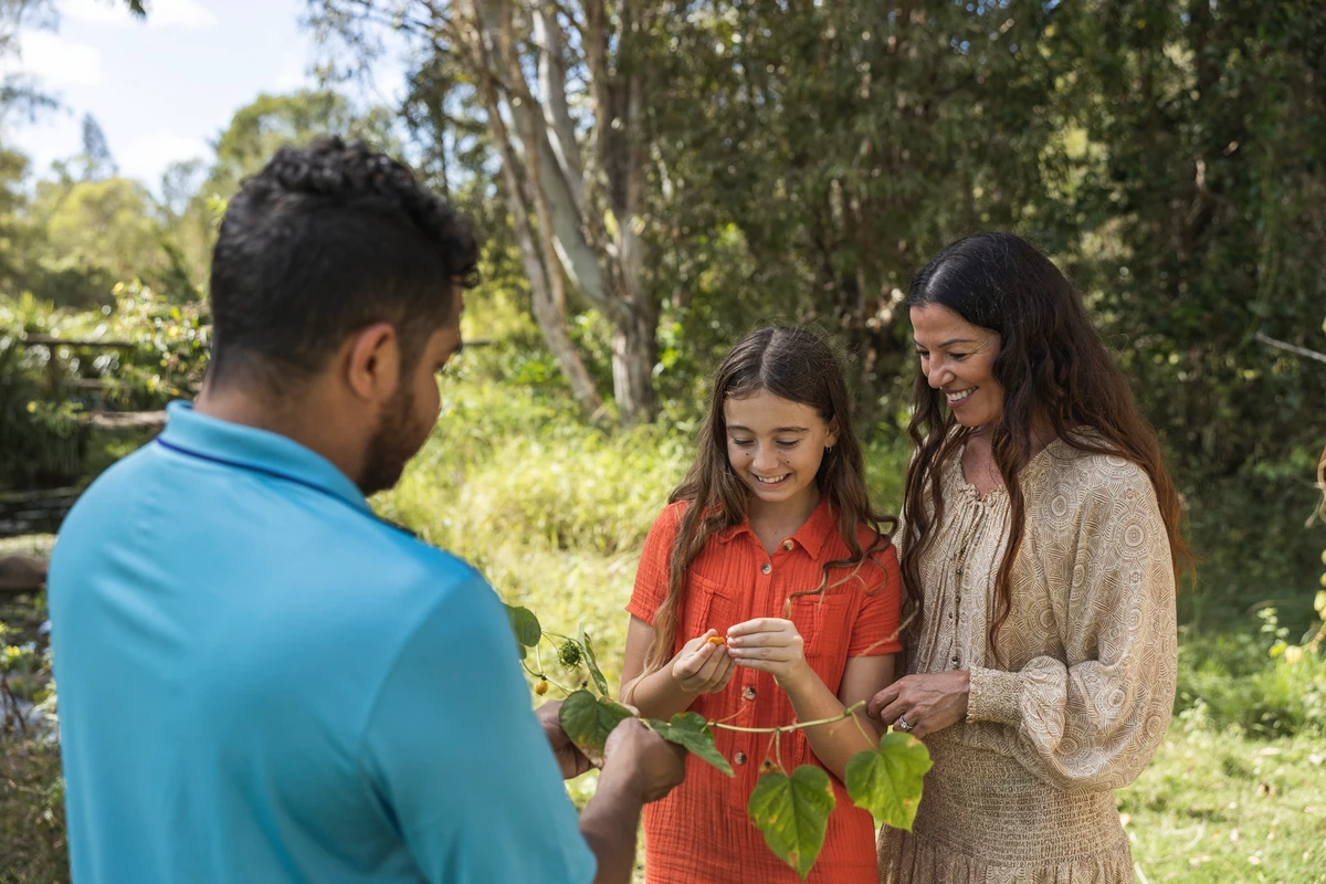 Explore Turtle Sands