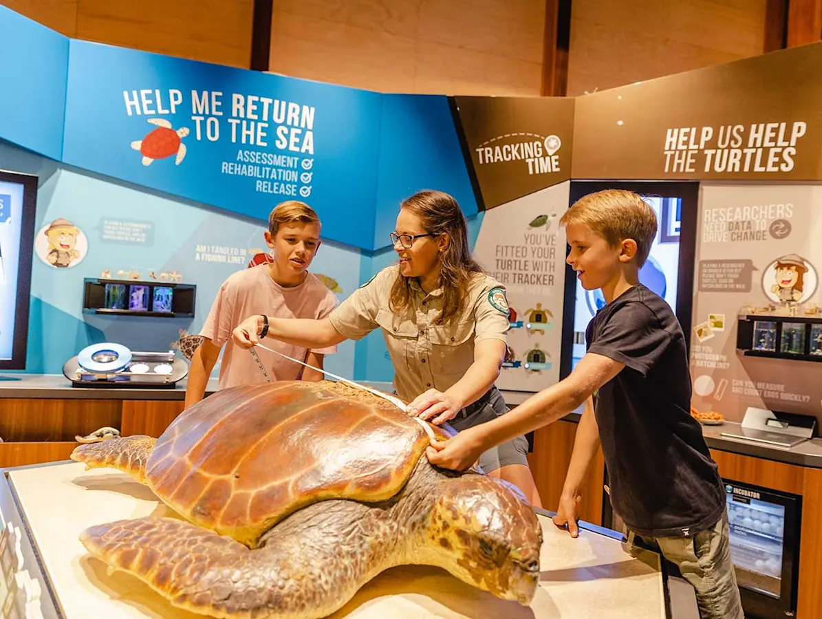 Turtle Sands Gallery