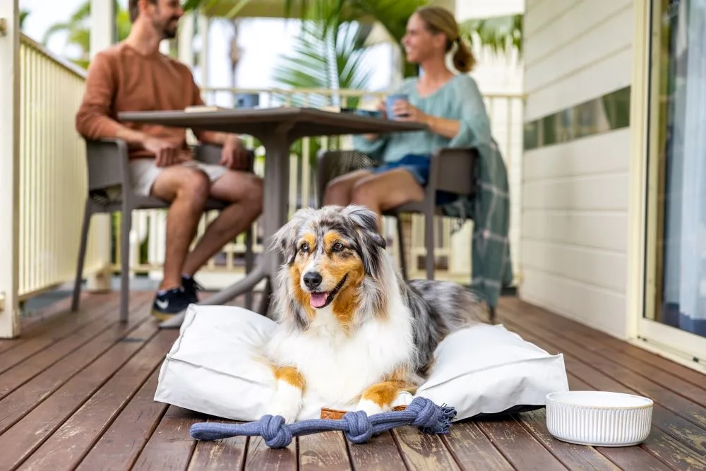 Pet Friendly Caravan Parks & Camping Australia | NRMA Parks