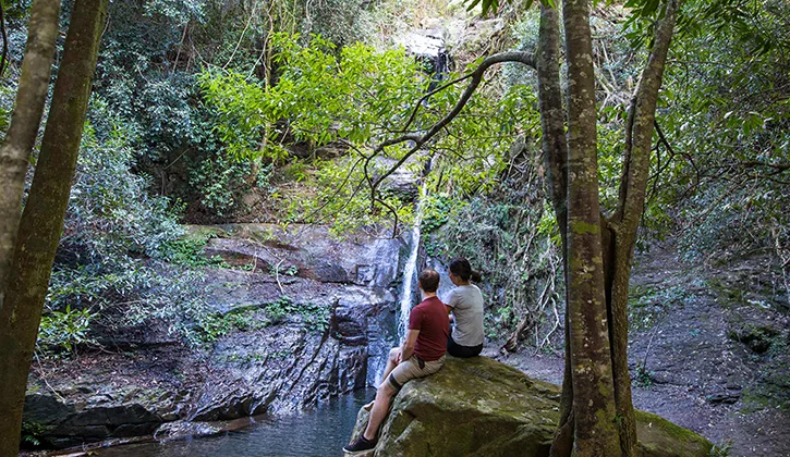 Gallery - NRMA Shellharbour Beachside Holiday Park