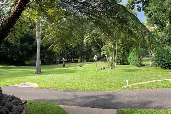 Atherton kids activities - NRMA Atherton Tablelands Holiday Park