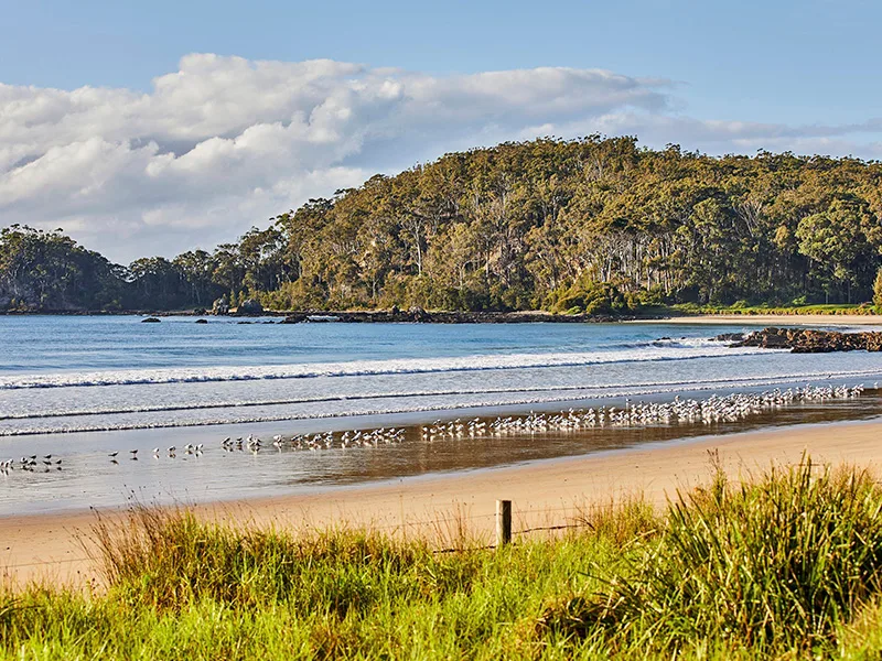 NRMA Broulee Holiday Park | Broulee accommodation