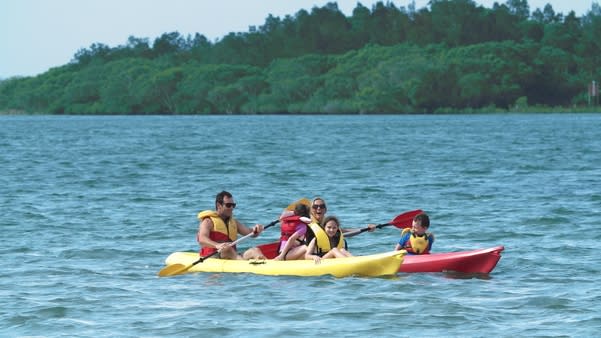 Water activities Yamba | NRMA Blue Dolphin Yamba
