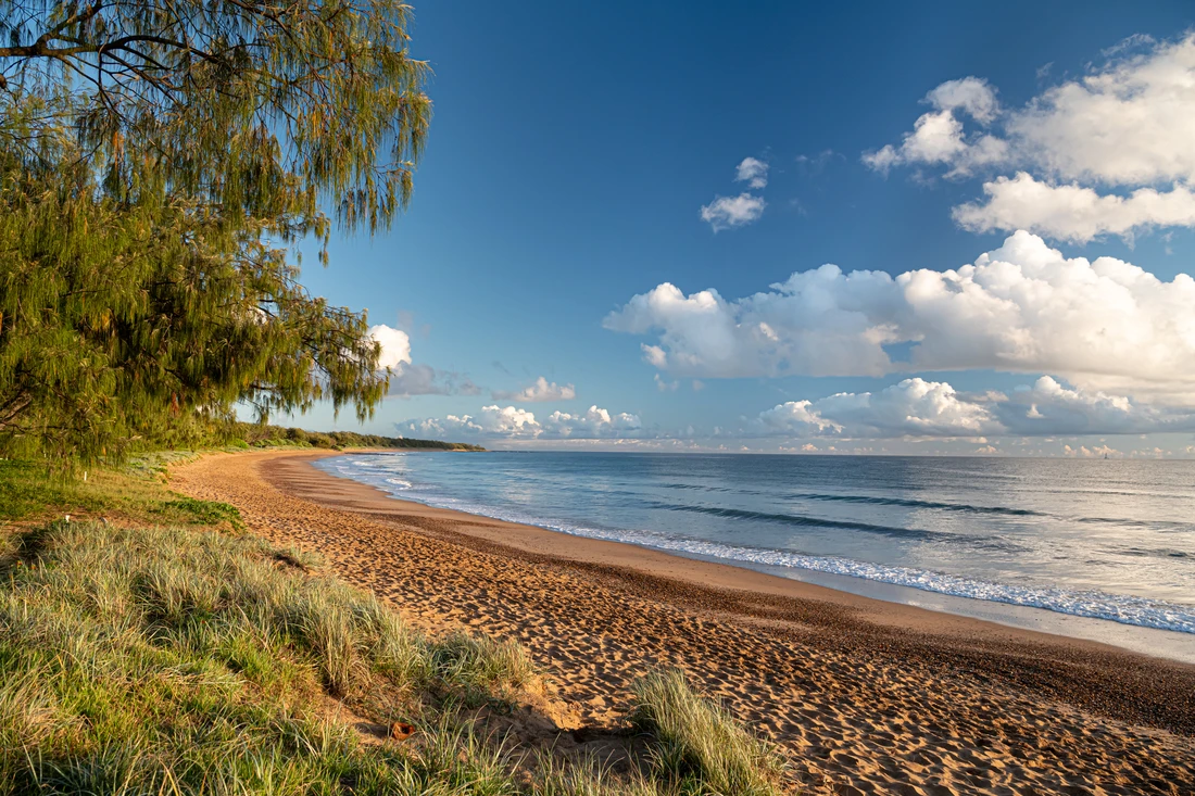 Turtle Sands Gallery