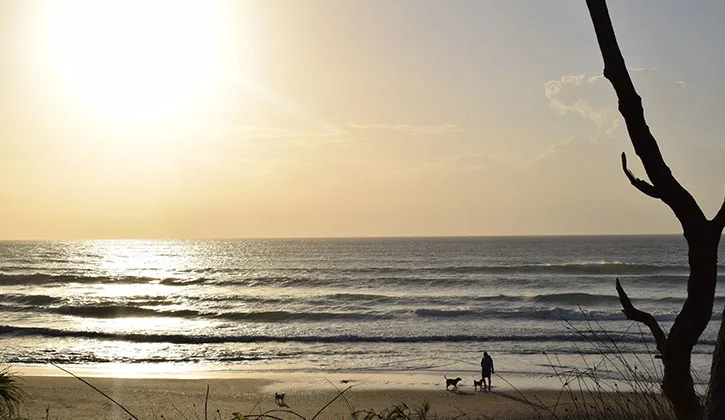 Gallery - NRMA Darlington Beach Holiday Resort