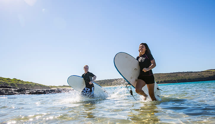 Top 15 Things To Do in Shellharbour - A Locals Guide