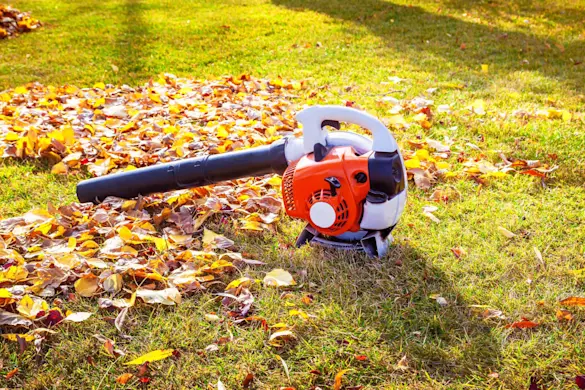 What are the main parts of a gas leaf blower | Leaf blower tips & tricks