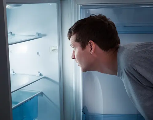 Six common refrigerator parts that you can replace yourself | Sears ...
