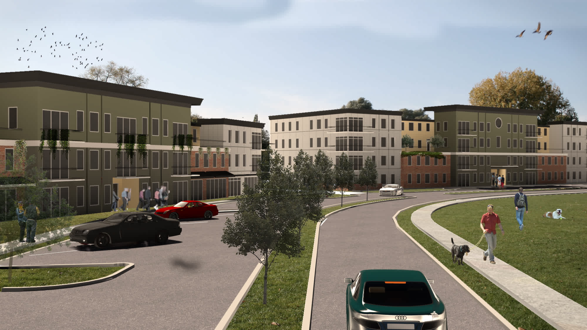 Schillaci Architects Ltd.