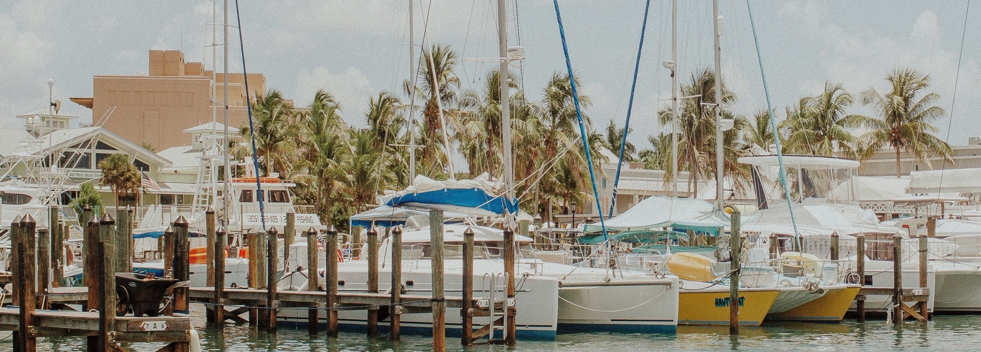 Voter Guide: Florida’s Aug. 20, 2024 City Council Elections | GoodParty.org